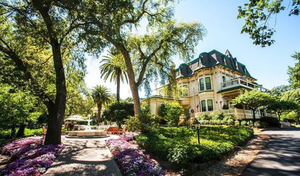 The 9 Best Napa Valley Wedding Venues - Joy