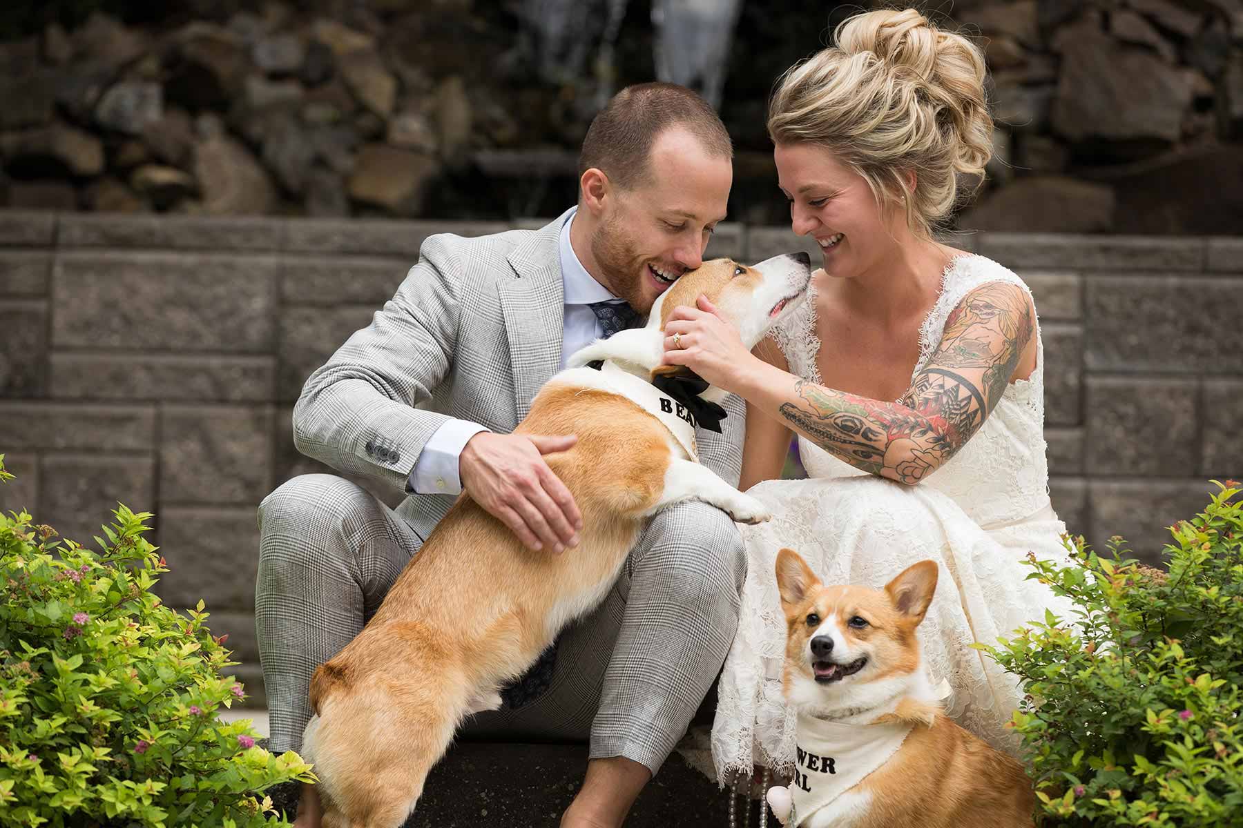 35 Memorable Ways to Include Pets in Your Wedding - Joy