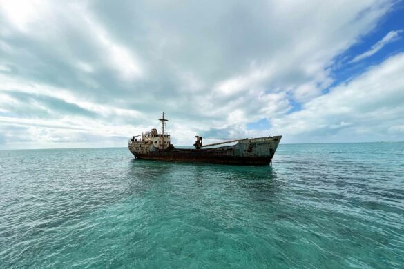 How to Write Perfect Wedding RSVP Examples: A Step-by-Step Guide [With ...