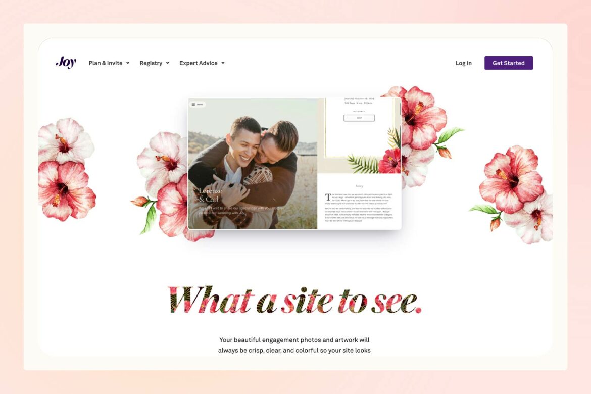 9 Best Wedding Websites to Plan Your Journey to "I Do!" - Joy