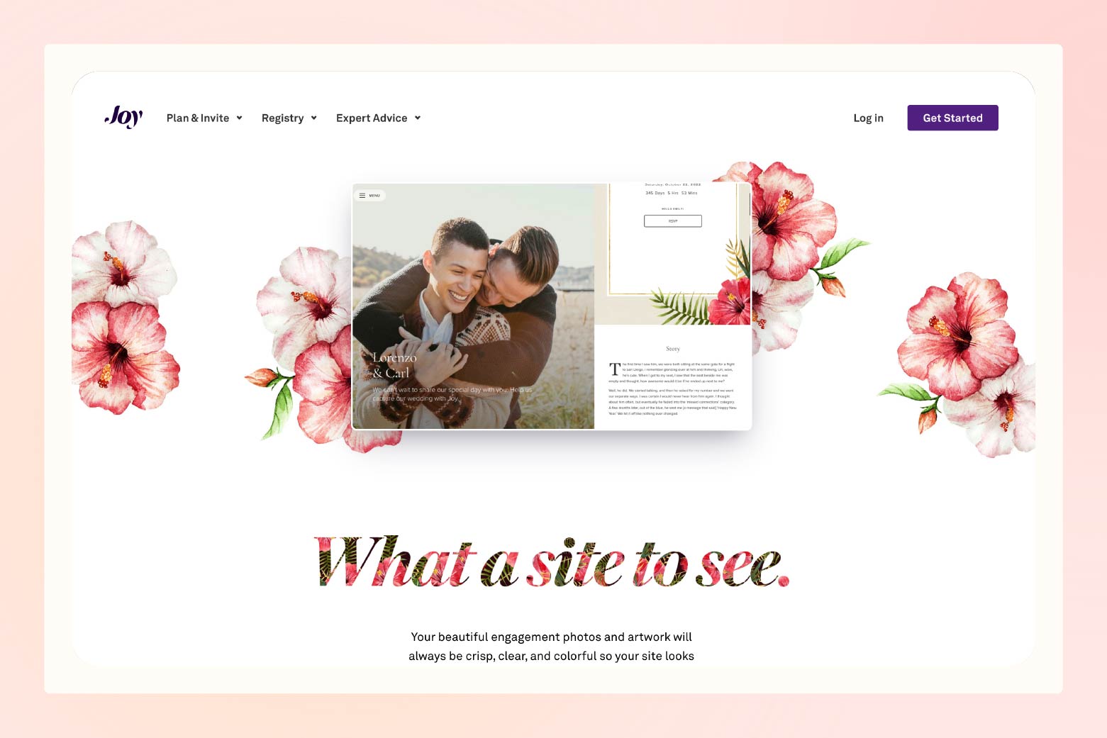 9 Best Wedding Websites to Plan Your Journey to "I Do!" - Joy