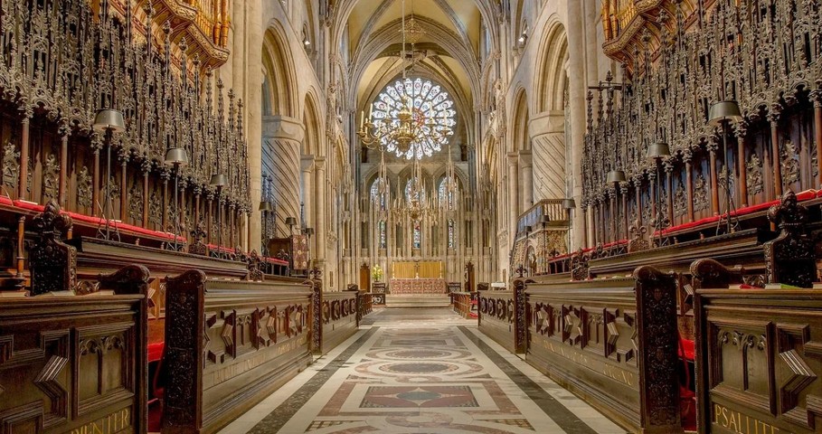 Lilli & George | Joy