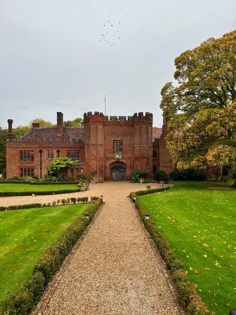 Serena & Nathan | Joy