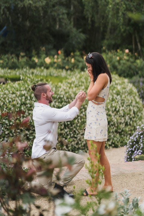 Alexandra & Arron | Joy