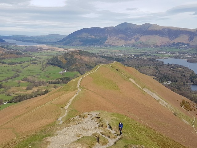 Toby & Rebecca | Joy