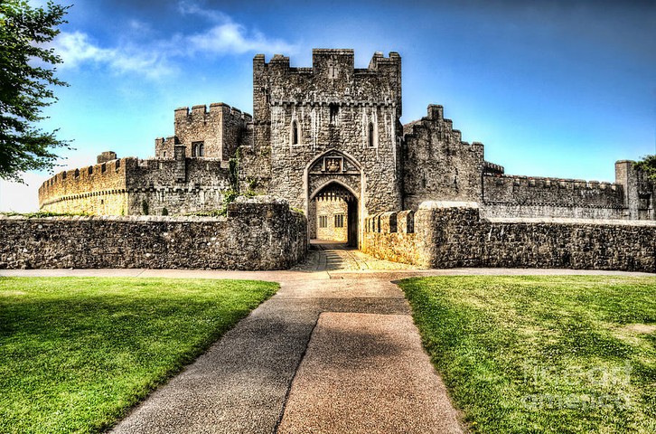 Charlotte & Declan | Joy