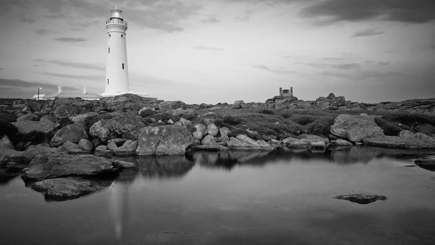 Amore & Nicholas | Joy