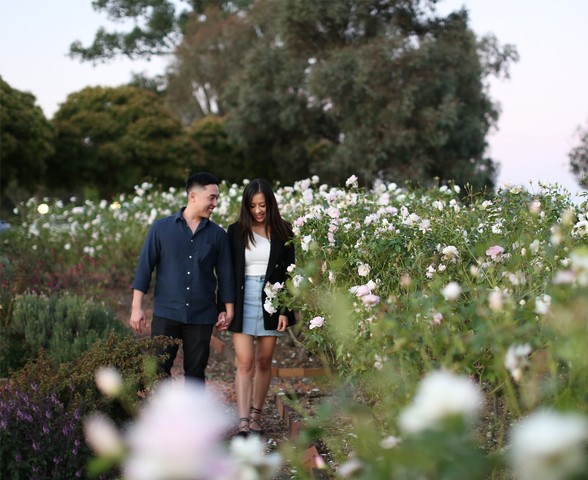 Matt & Nicole | Joy
