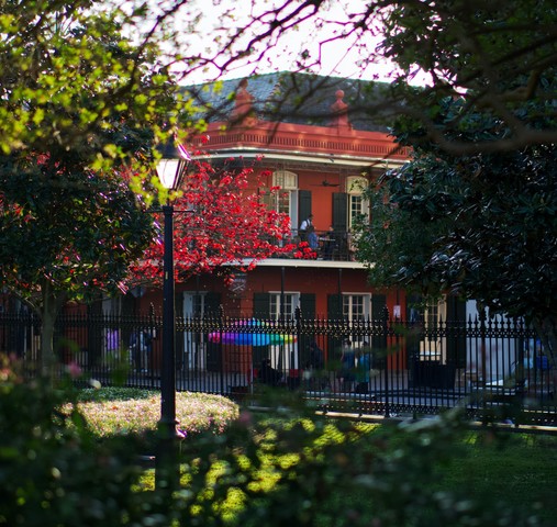 Ebony & Terrell | Joy