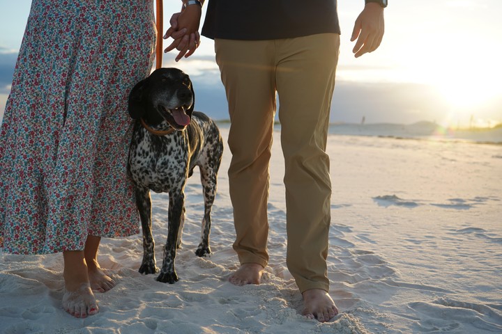 Celia & Patrick | Joy