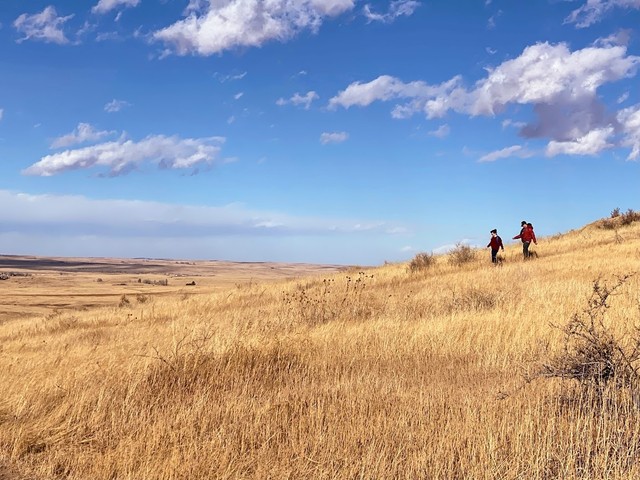 Margaret & Greg | Joy