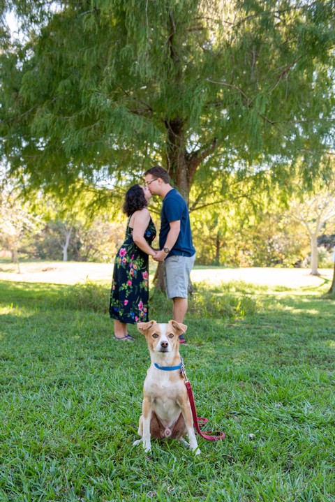 Jessica & Joshua | Joy