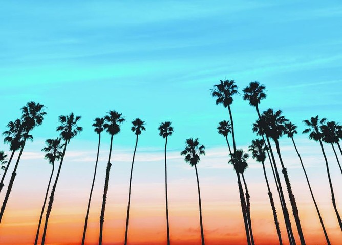 Alyson & Colin | Joy