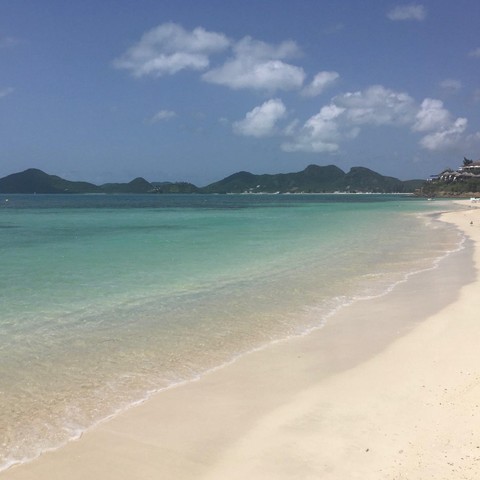 Alexander & Gemma | Joy