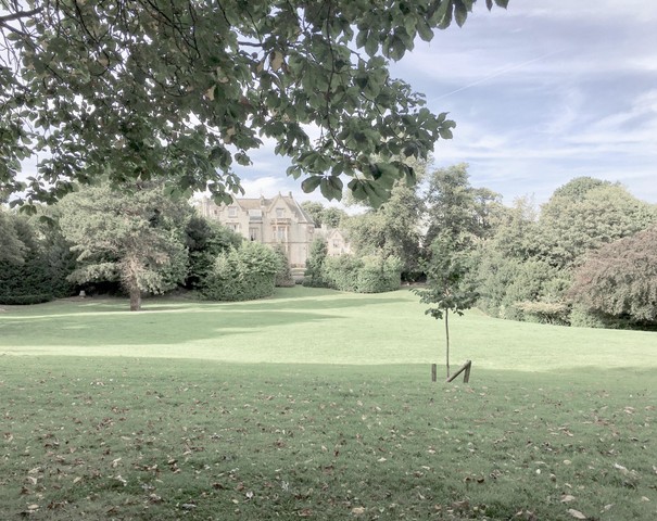 Hester & Edward | Joy