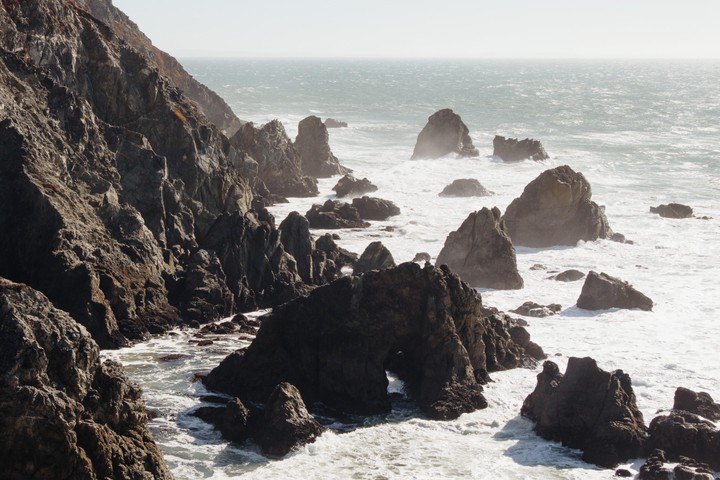 Laura & Andrew | Joy