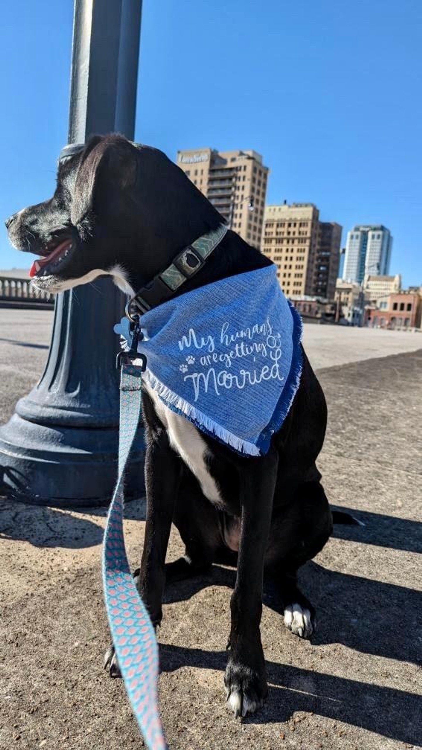 Victoria & Ryan's Wedding | Joy