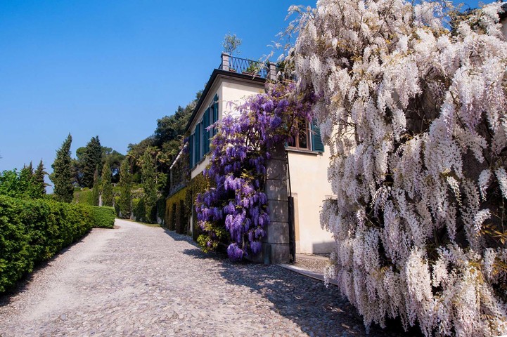 Francesco & Haley | Joy
