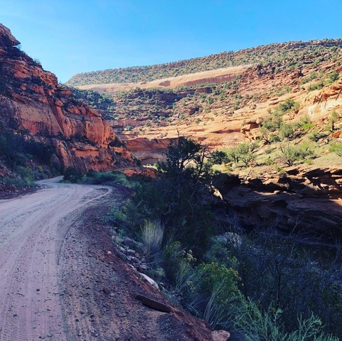 Bethany & Jonathan | Joy