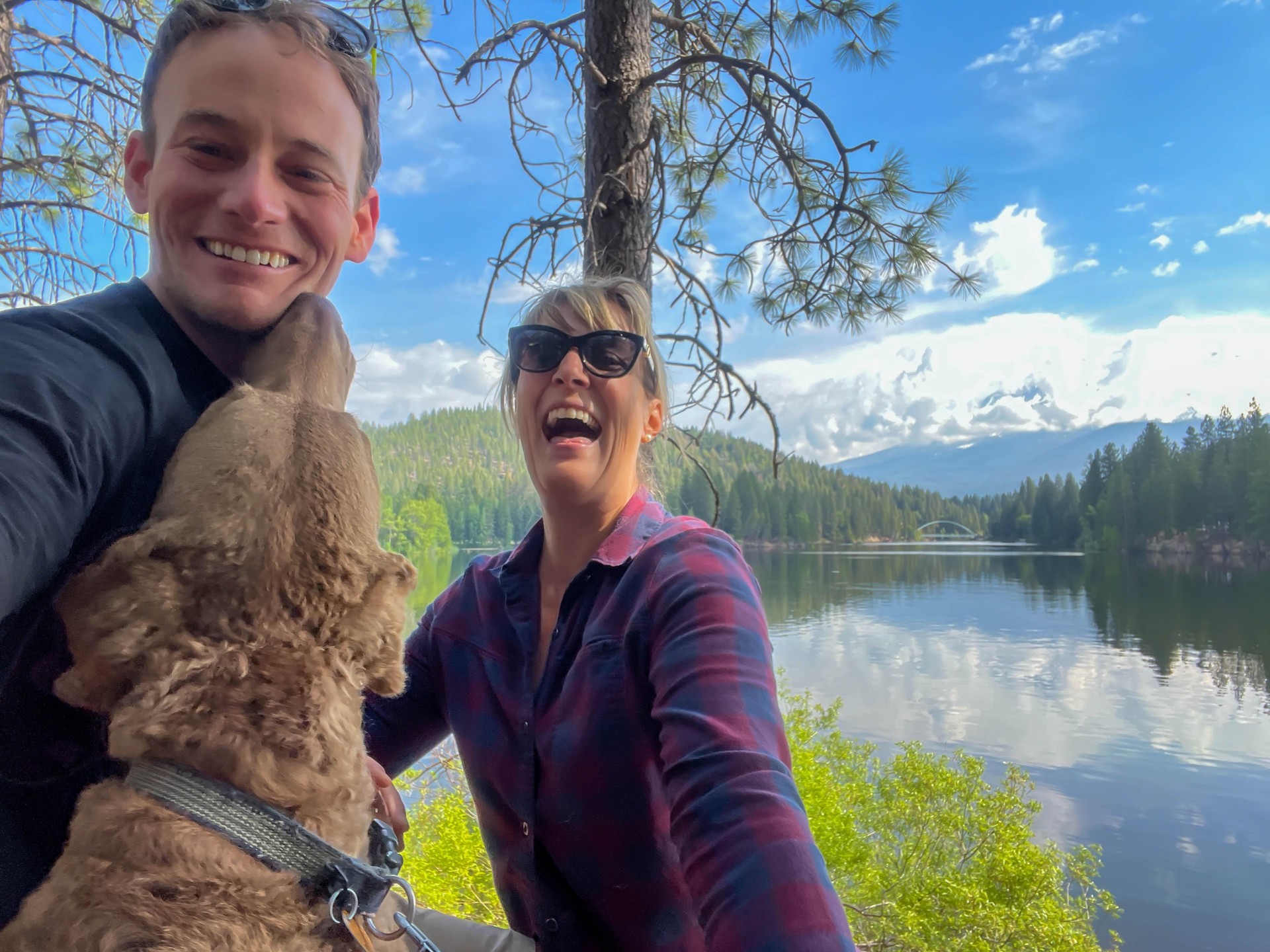 Nicholas & Abby | Joy