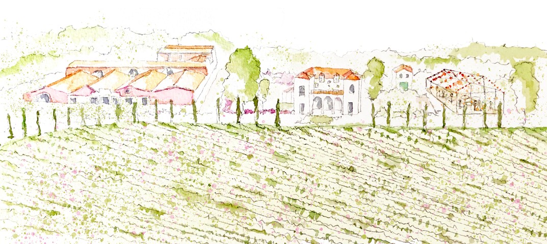 Marina y Jorge | Joy