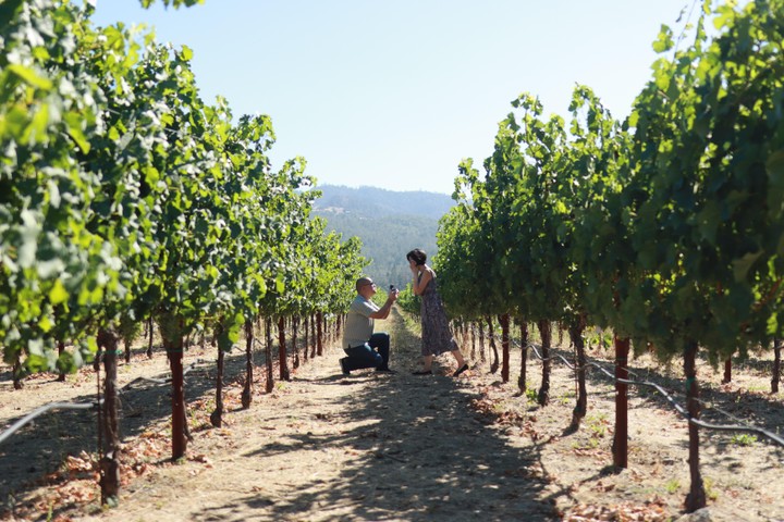 Tracy & Wilson | Joy