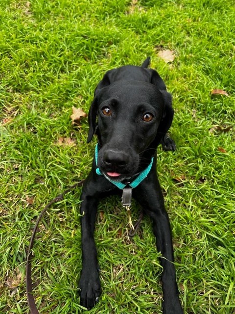 Kaveesh & Alessandra | Joy