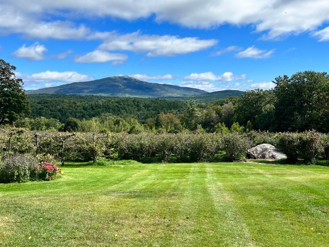 Aliza & Maxwell | Joy