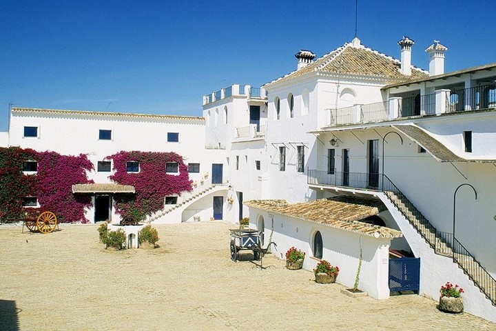 Doireann & Seán | Joy