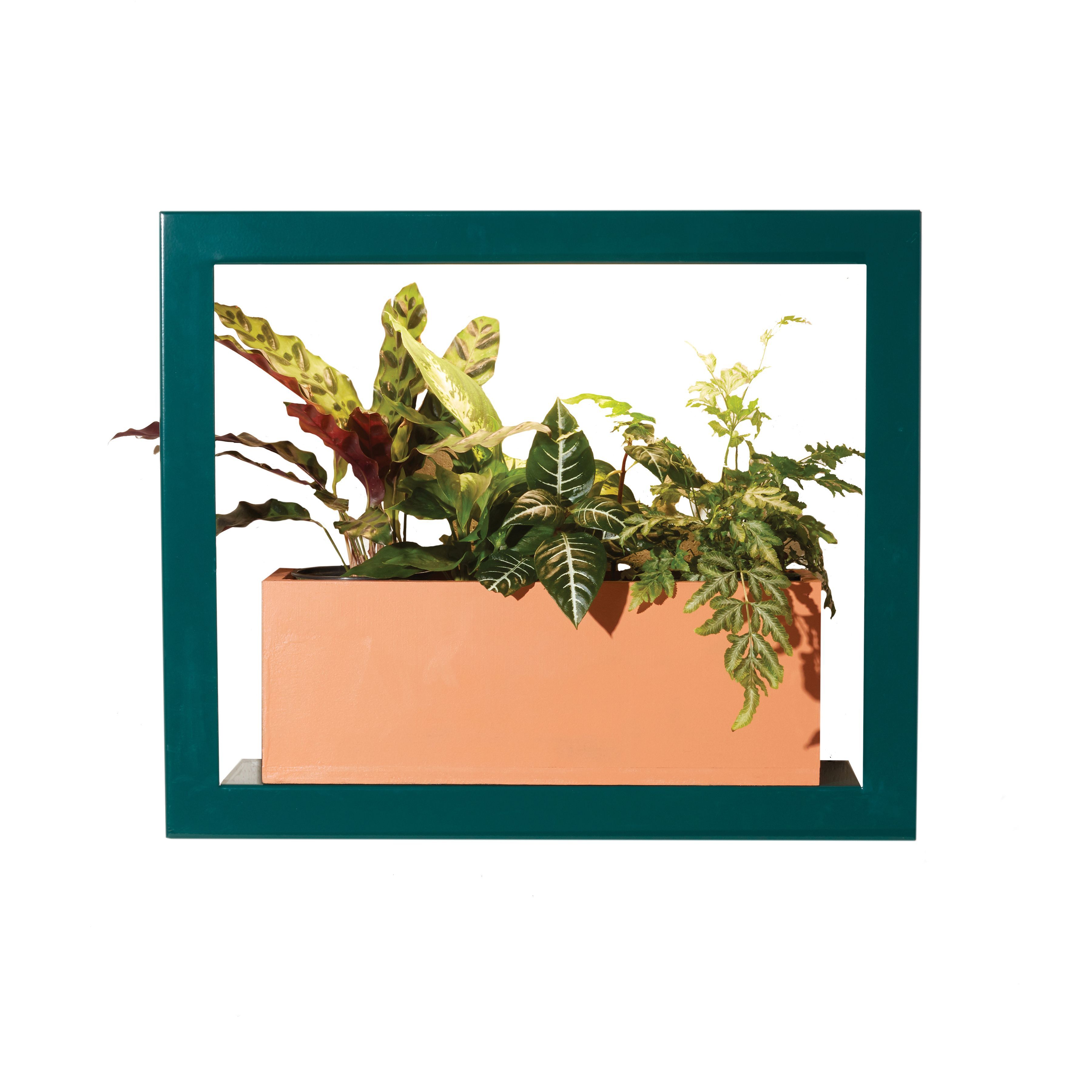 Modern Sprout Smart Growframe in Emerald | Joy