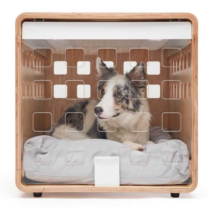 Fable Pets Crate, M 34" x 24" x 25" with Acrylic Gate | Joy