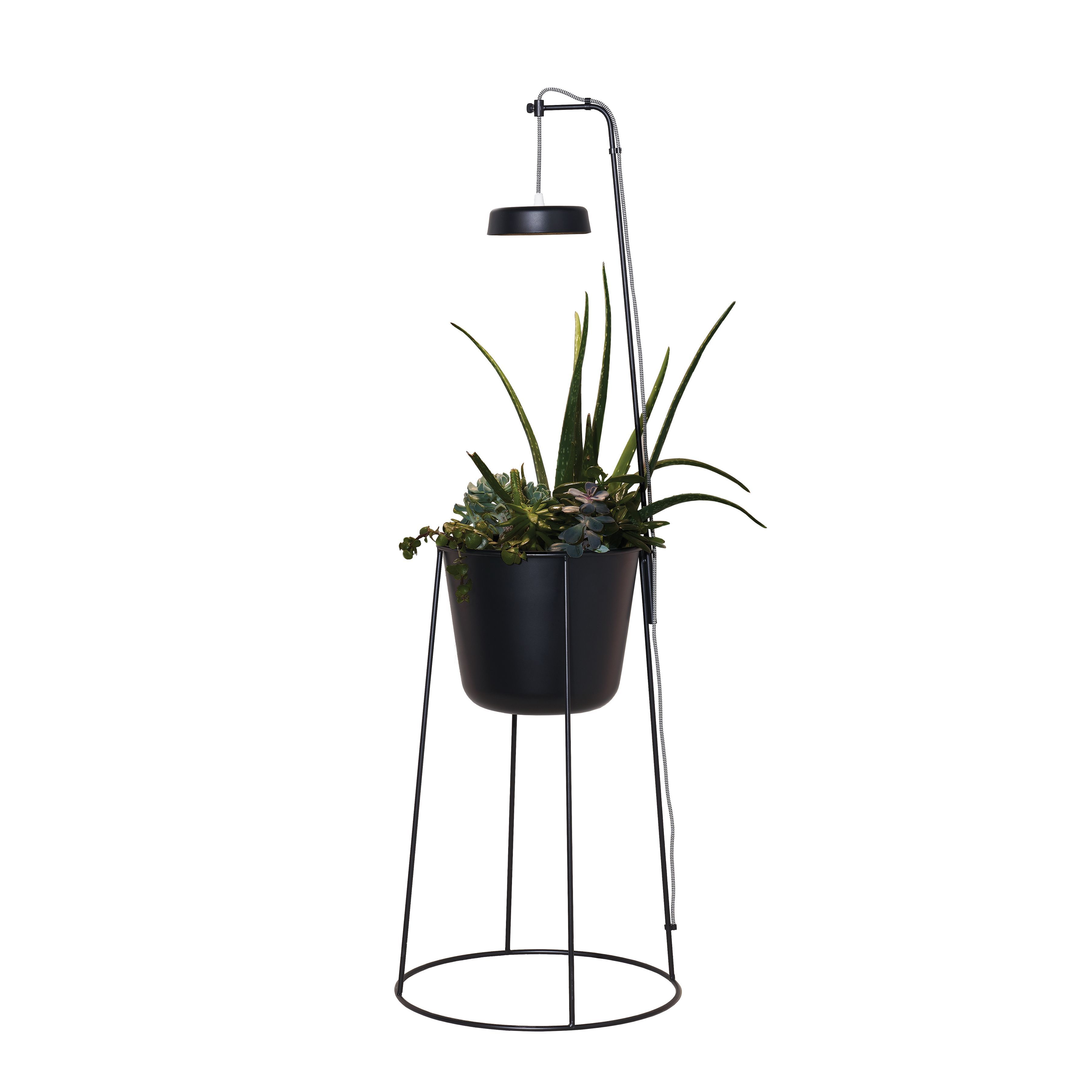 Modern Sprout Uplift Planter in Matte Black | Joy